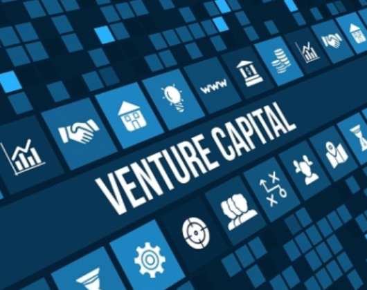 India’s venture capital funding surged 43 pc to $13.7 billion in 2024 ...